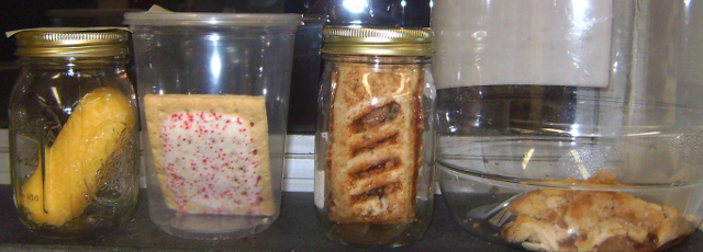 Fast Food Fanatic Project - FamilyConsumerSciences.com