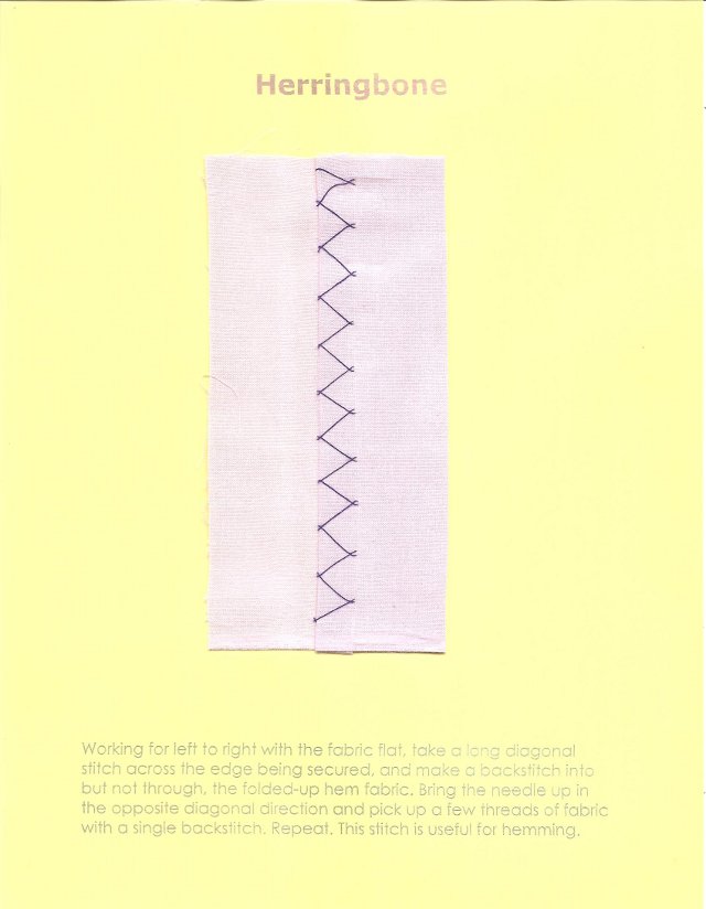 Seam Samples Lesson Plan - FamilyConsumerSciences.com