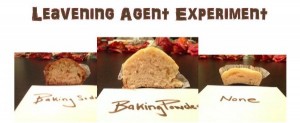 Extreme Lesson Plan Make Over: Leavening Agents ...