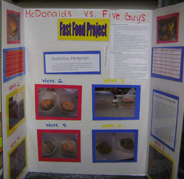 Fast Food Fanatic Project - FamilyConsumerSciences.com