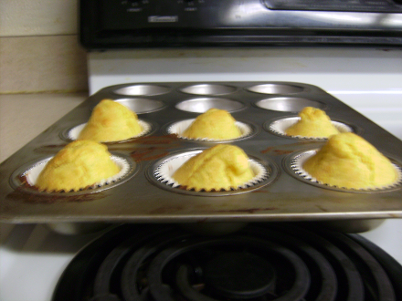 Muffin Lab - FamilyConsumerSciences.com