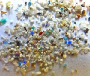 Babies & Microplastics - FamilyConsumerSciences.com